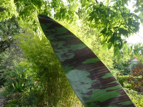 Musa 'Brown's Red' | Banana | plant lust