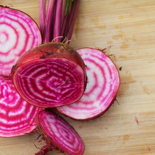 Select Seeds - plant lust