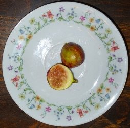 Alma Fig | plant lust