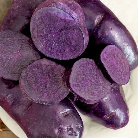 Magic Molly Potato | plant lust